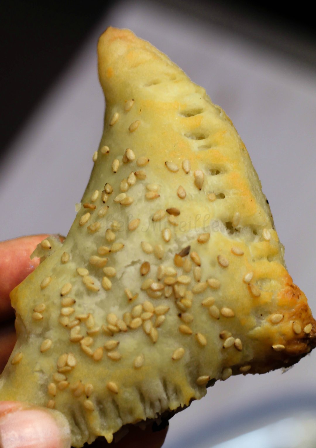 Vegetable Bourekas - Global Kitchen Travels