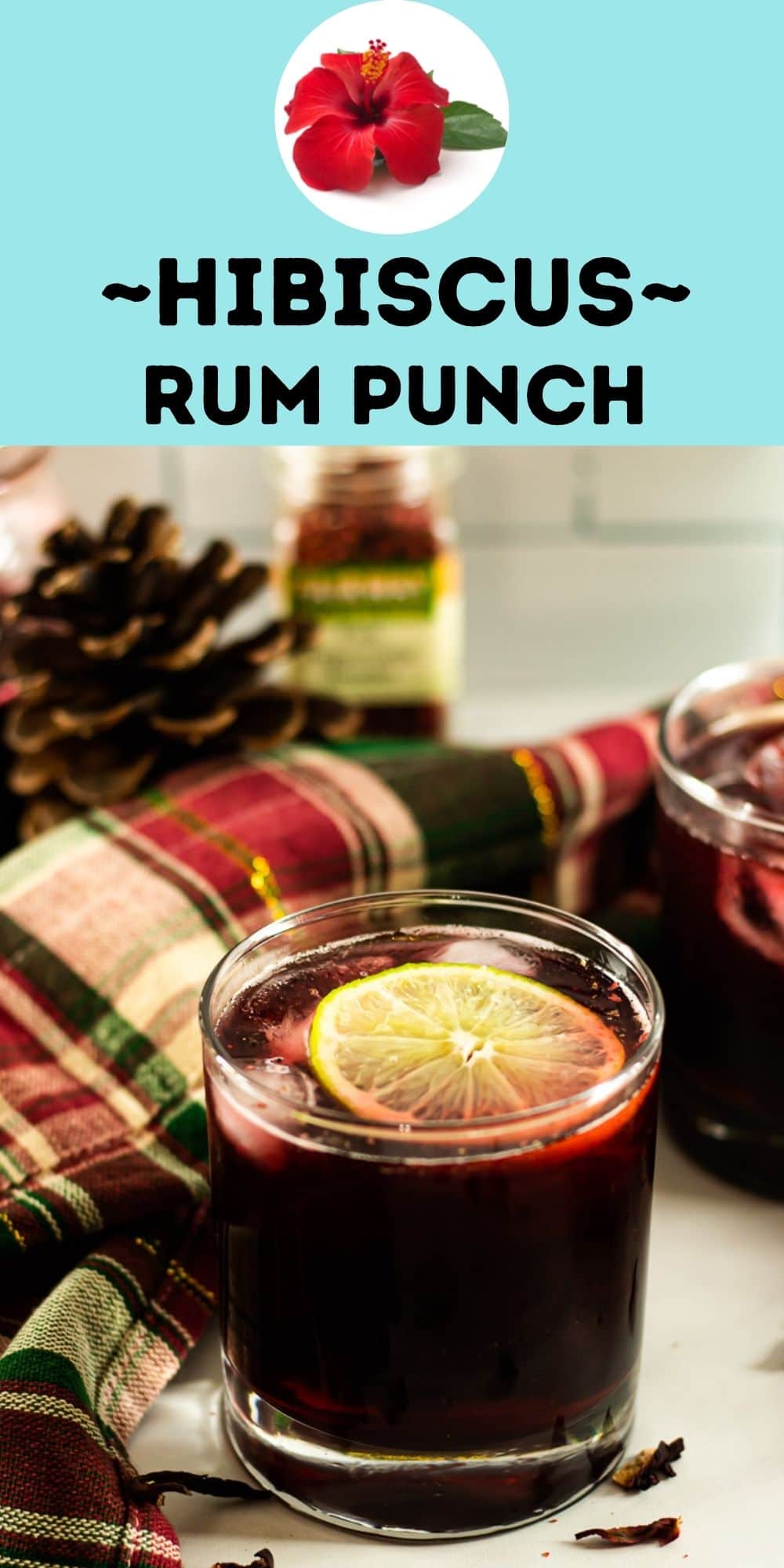 Hibiscus Rum Punch - Global Kitchen Travels