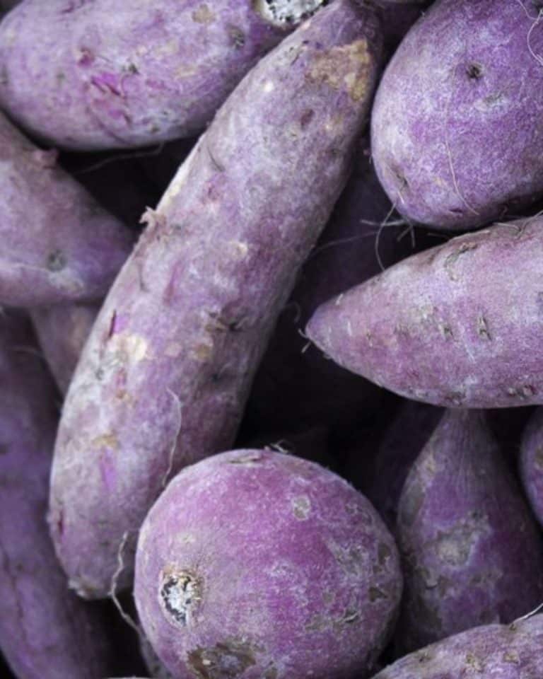 Best Ube Recipes: How to Cook with Purple Yam - Global Kitchen Travels